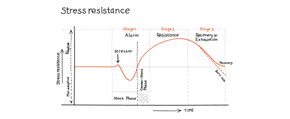 What is burnout and how to avoid it - Welltory